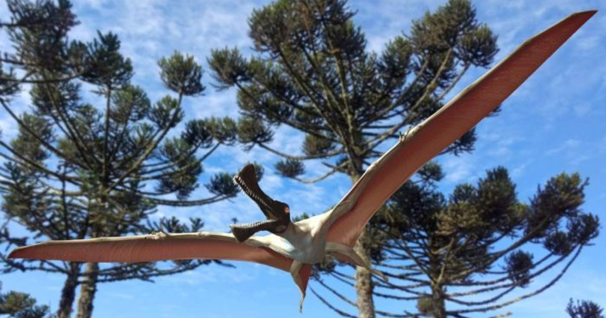 Scientists discover a new Aussie pterosaur – and it's terrifying