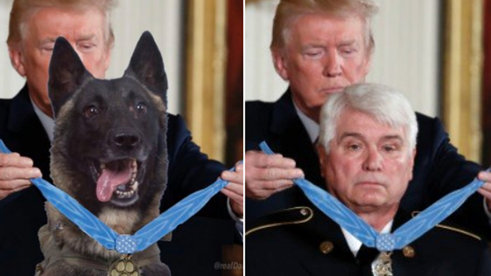 Trump shares fake photo of himself giving medal to 'American hero' dog