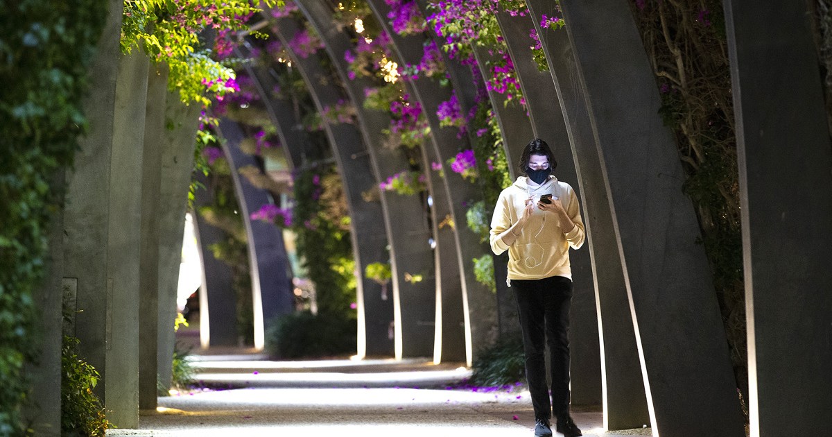 States vary on COVID approach, as fourth wave gathers pace