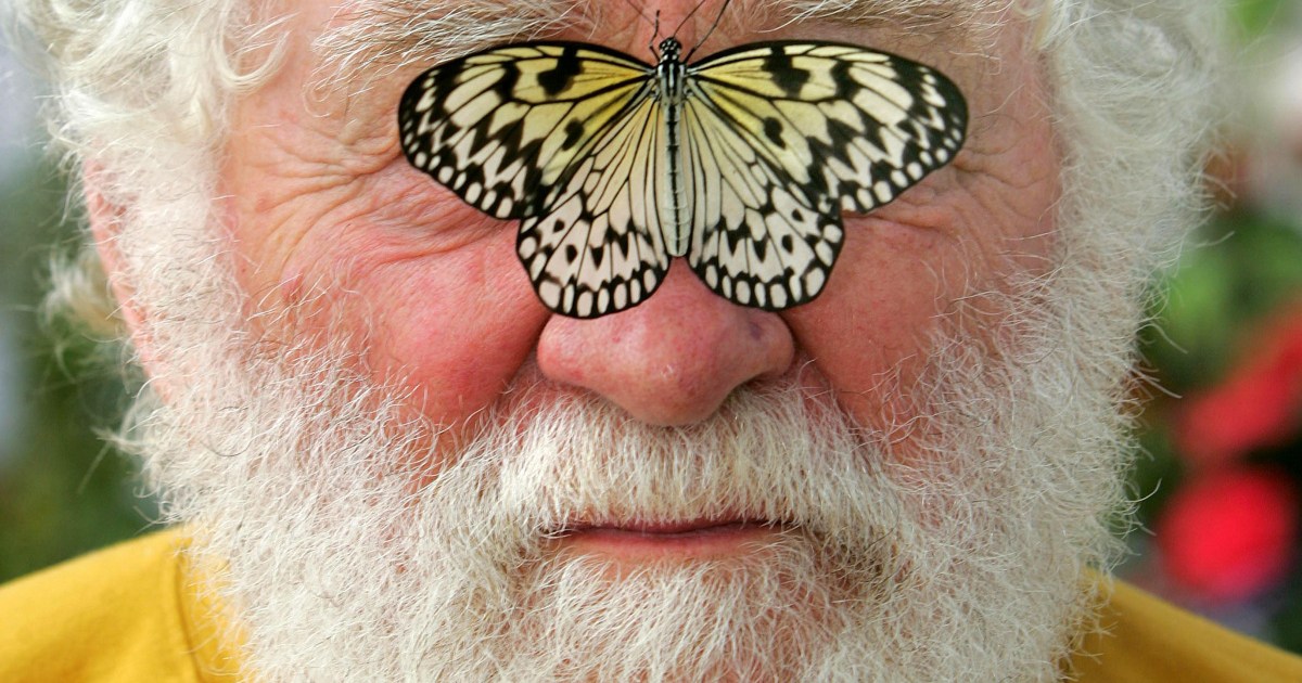 Broadcaster and naturalist David Bellamy dies