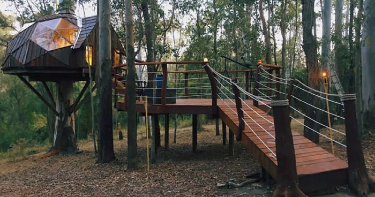 Queensland man's bid to turn a tree house into a permanent home | The ...