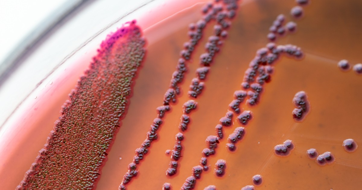 One of the most powerful antibiotics ever has just been discovered