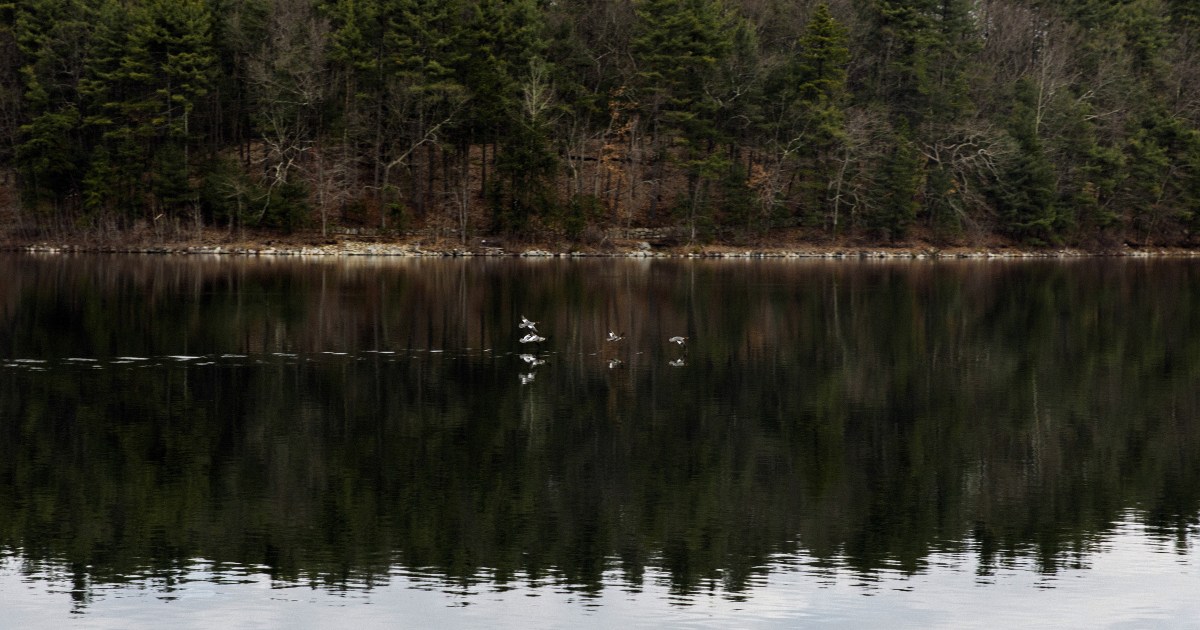 Lessons in constructive solitude from Thoreau