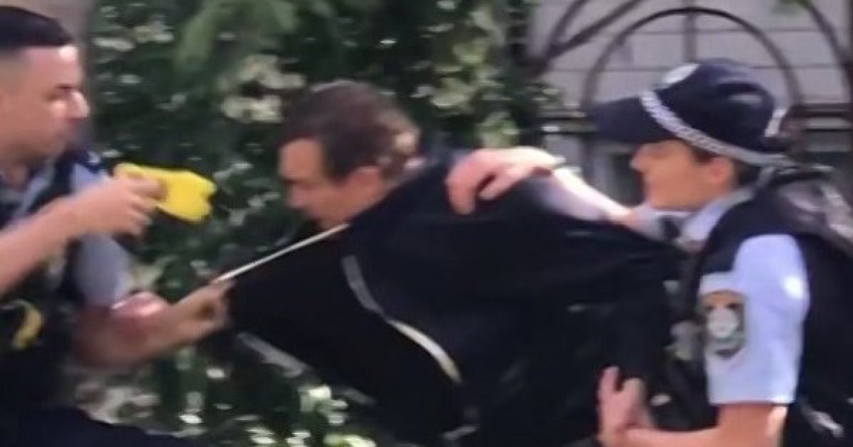 Footage shows man tasered by police in Sydney's eastern suburbs