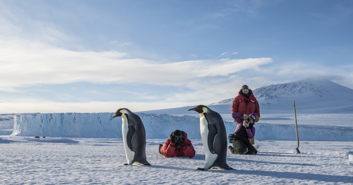 ‘Strange creatures’ found under Antarctica | The New Daily