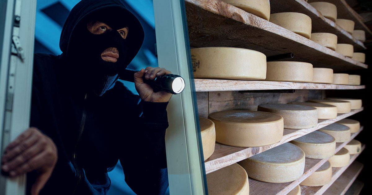 Cheese thieves caught after grand theft dairy in Netherlands