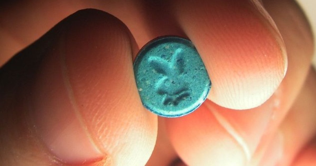 Pill-testing trial to run at music festivals