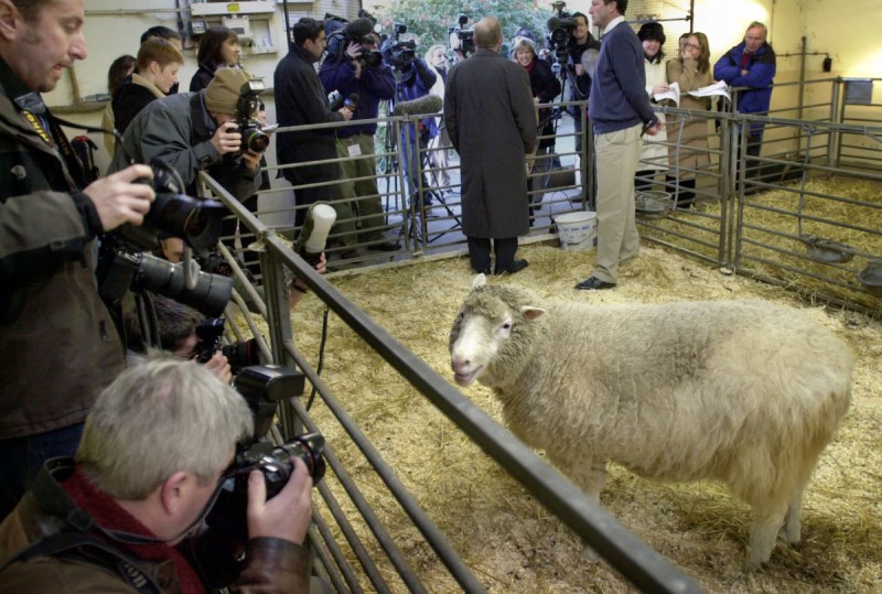 On This Day: Scientists unveil Dolly the cloned sheep