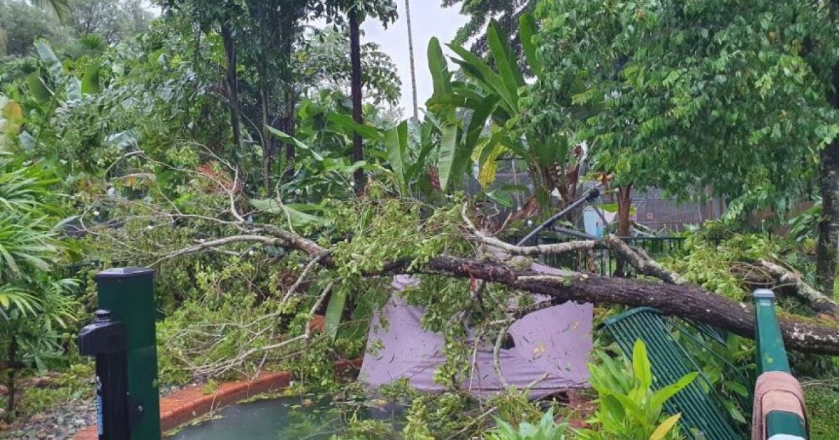 Tropical Cyclone Niran brings wild weather to north Queensland