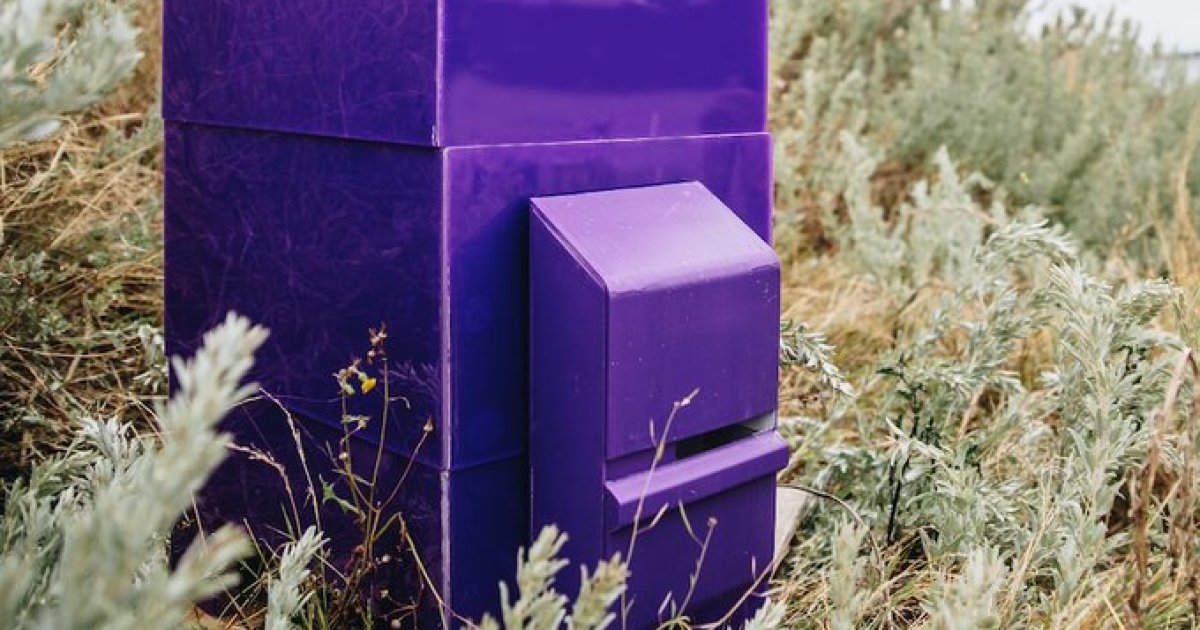 Smart hives trial to protect Victoria bees | The New Daily