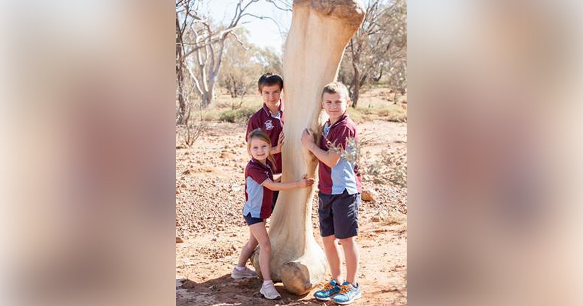 Meet the southern titan, ‘Cooper’, Australia’s largest dinosaur