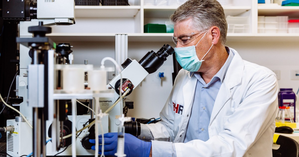 Scientists have made a breakthrough on strokes. Bush ticks hold the key
