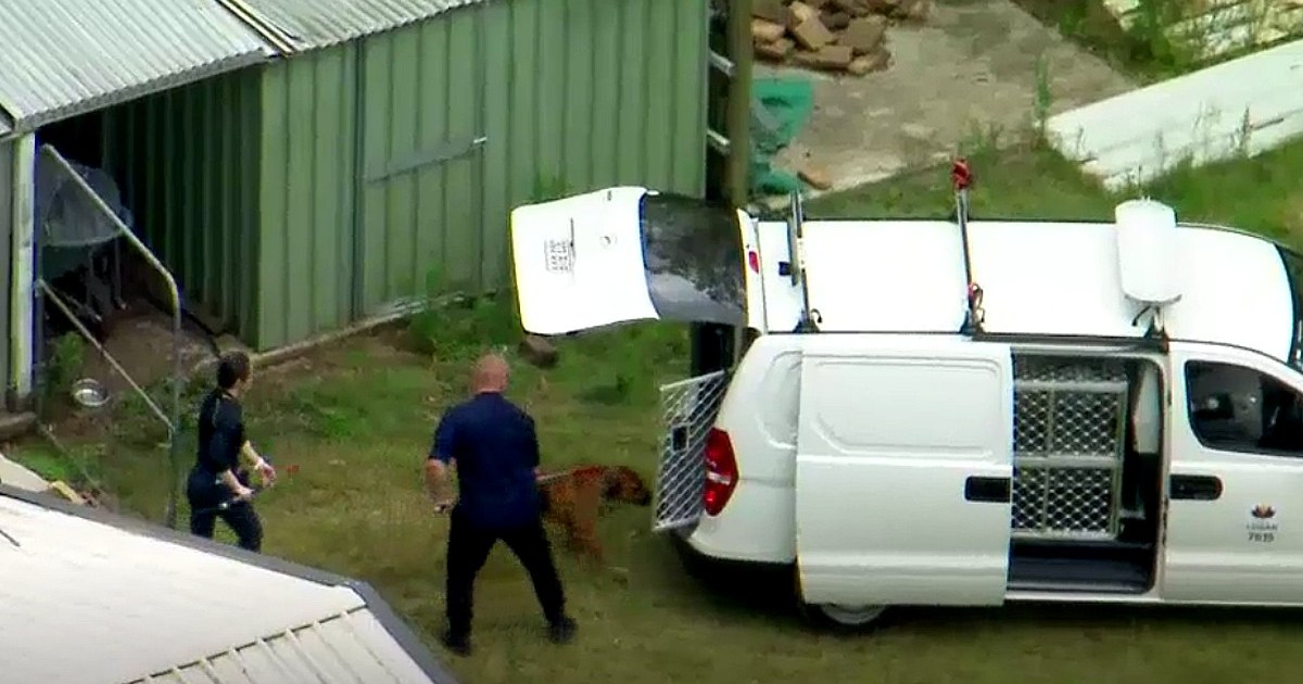 'Popular' meter reader dead after savage dog mauling