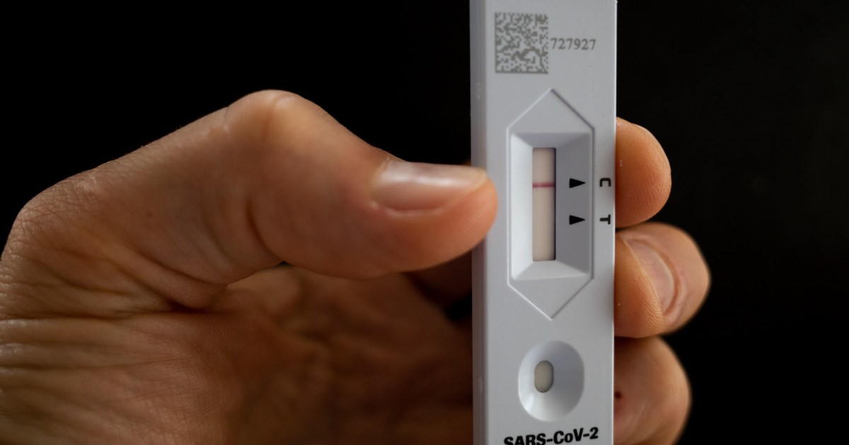 Free rapid tests distributed to Vic schools