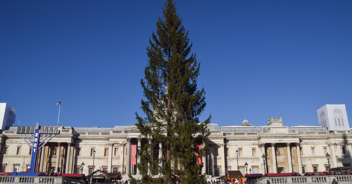 'Have we gone to war with Norway?': London's festive tree mocked