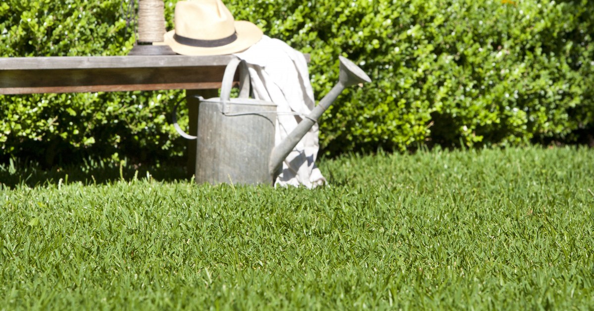 Long-time Gardening Australia host Peter Cundall dies at 94