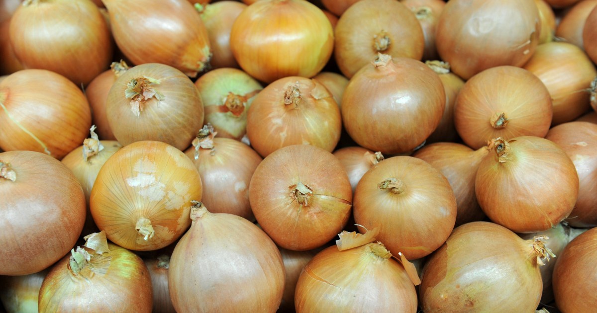 All-natural ‘tearless’ onions to go on sale in the UK