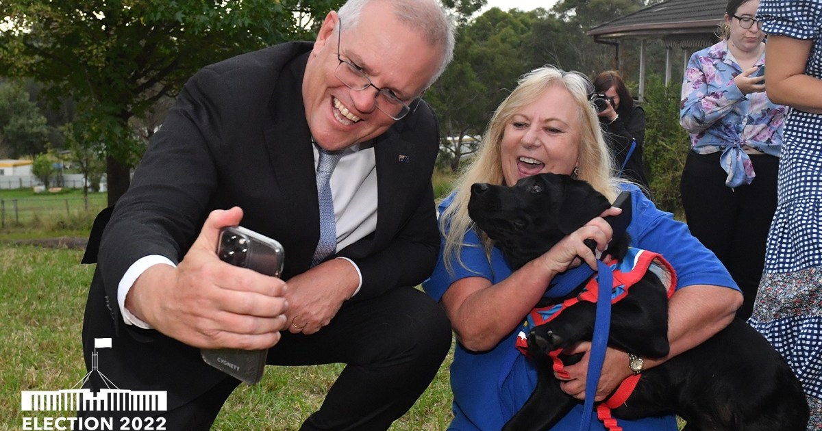 Election memes: Liberal Party's 'dog days', Adam Bandt's kebab