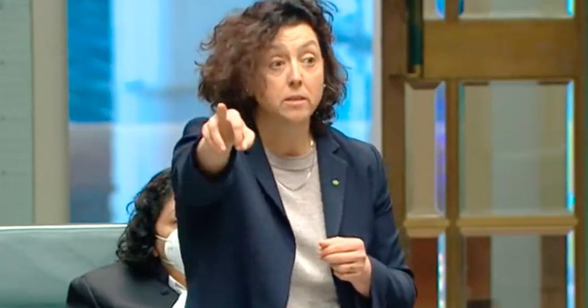 'Put your masks on': Monique Ryan blasts Coalition MPs