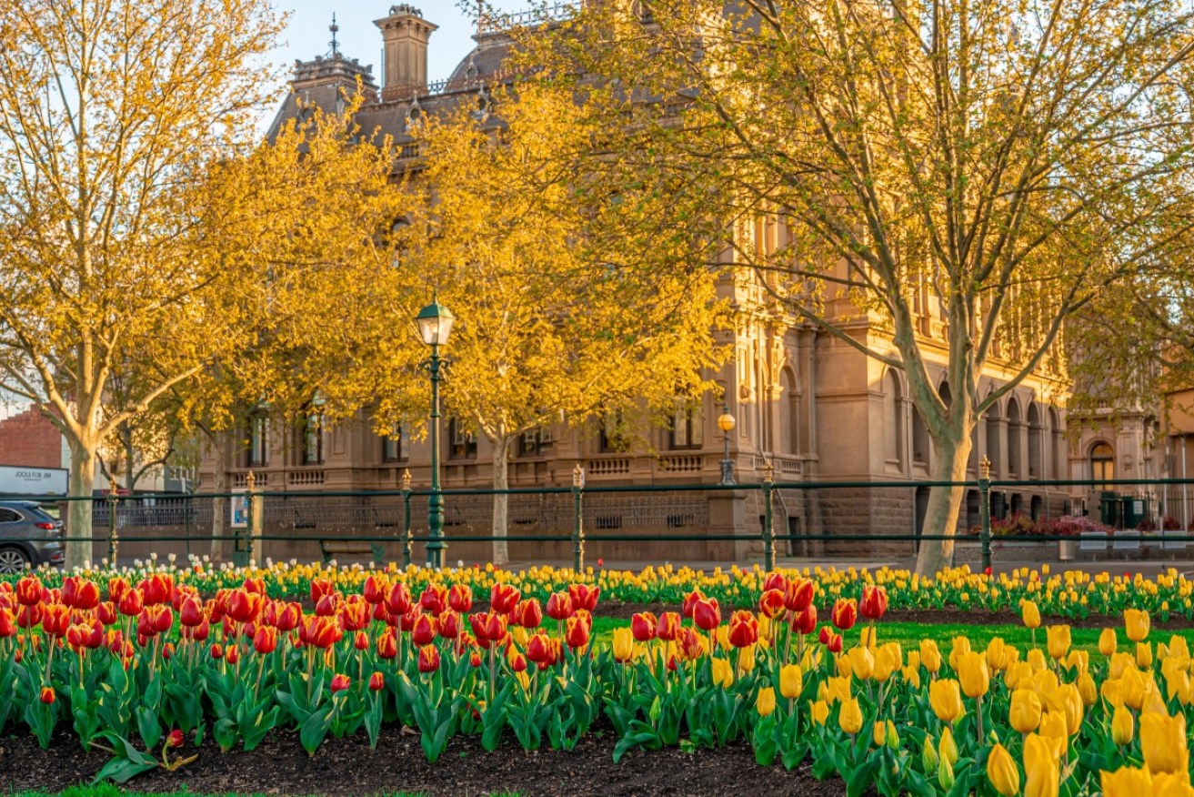 The spring getaway at a town where it’s all happening | The New Daily