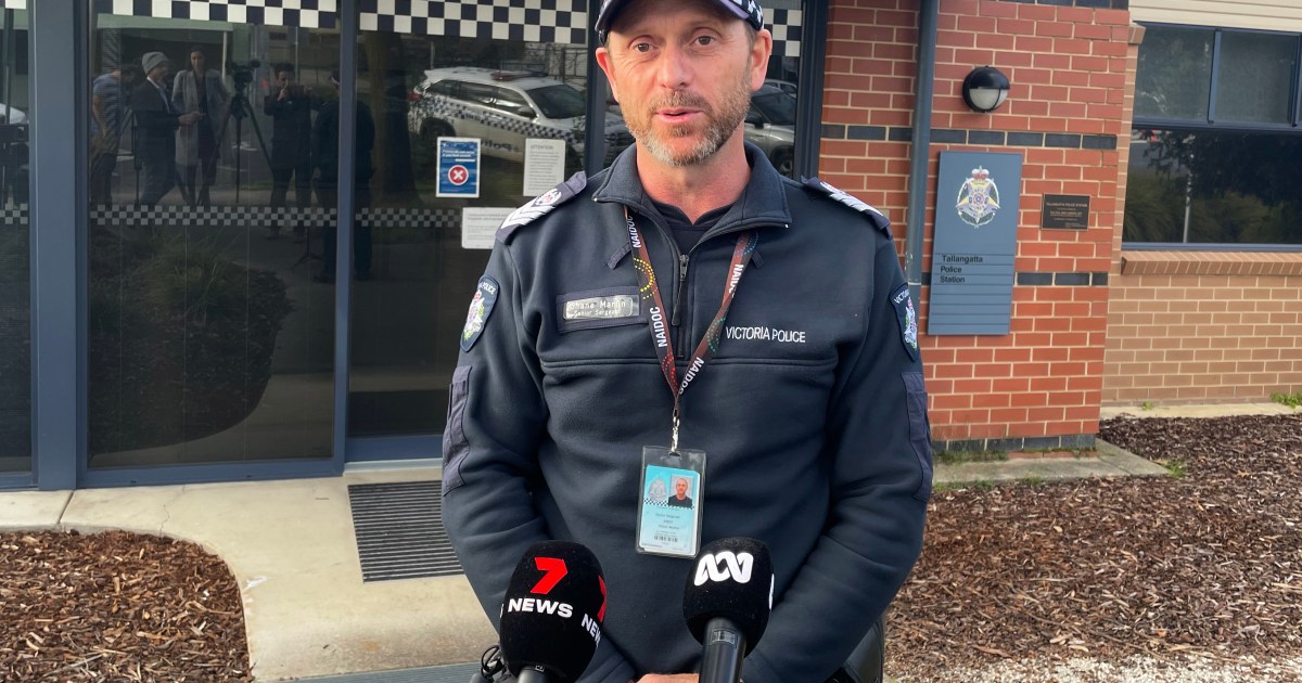 Male pilot, 42, killed in Victorian light plane crash