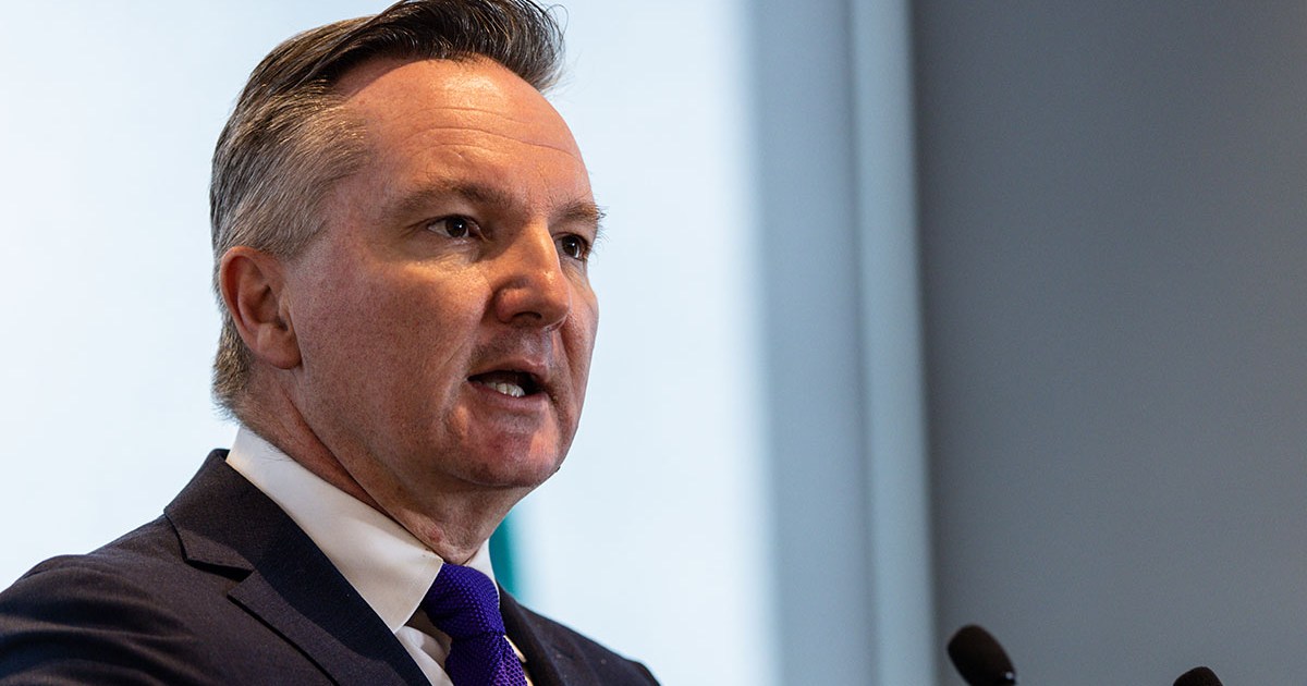 Chris Bowen tells COP27 Australia is back to tackle climate change