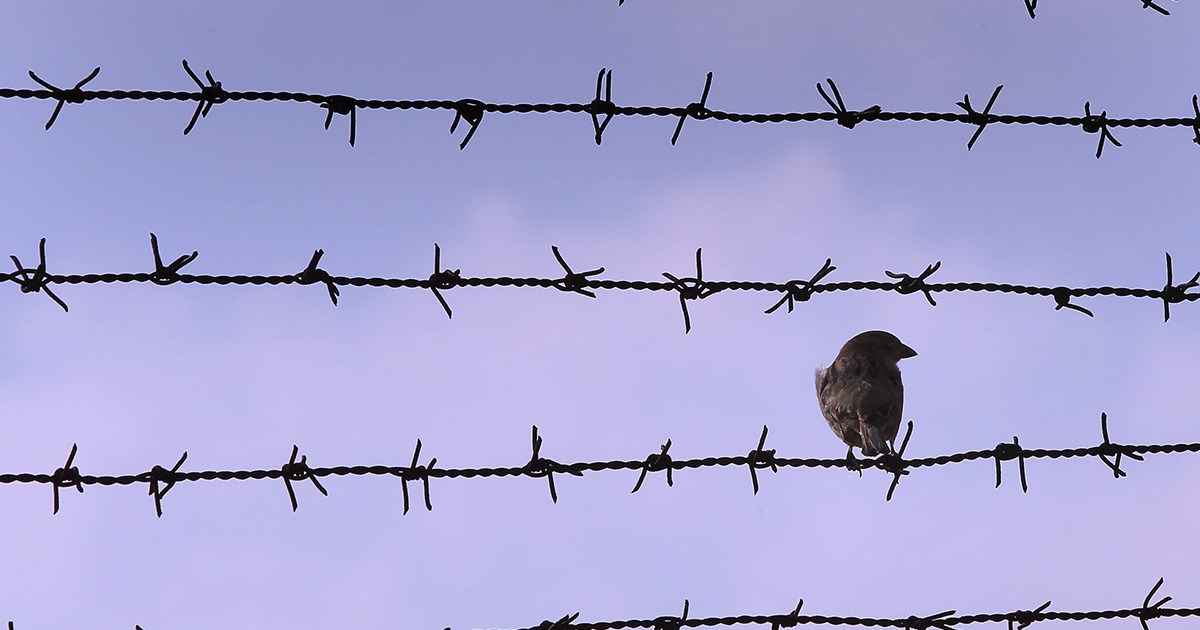 Kuwait puts to death seven prisoners in mass execution