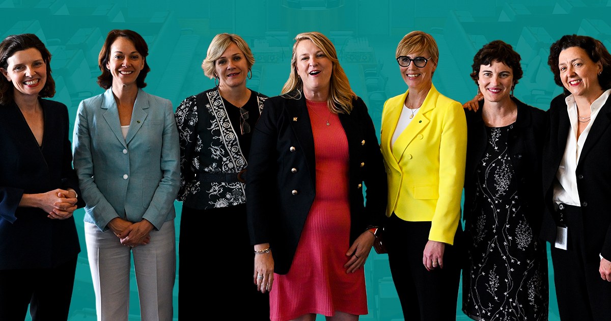 Liberals hatching plans to reclaim heartland lost to teals