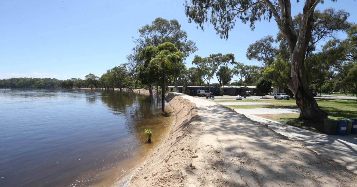 More levee failures as Murray peak nears