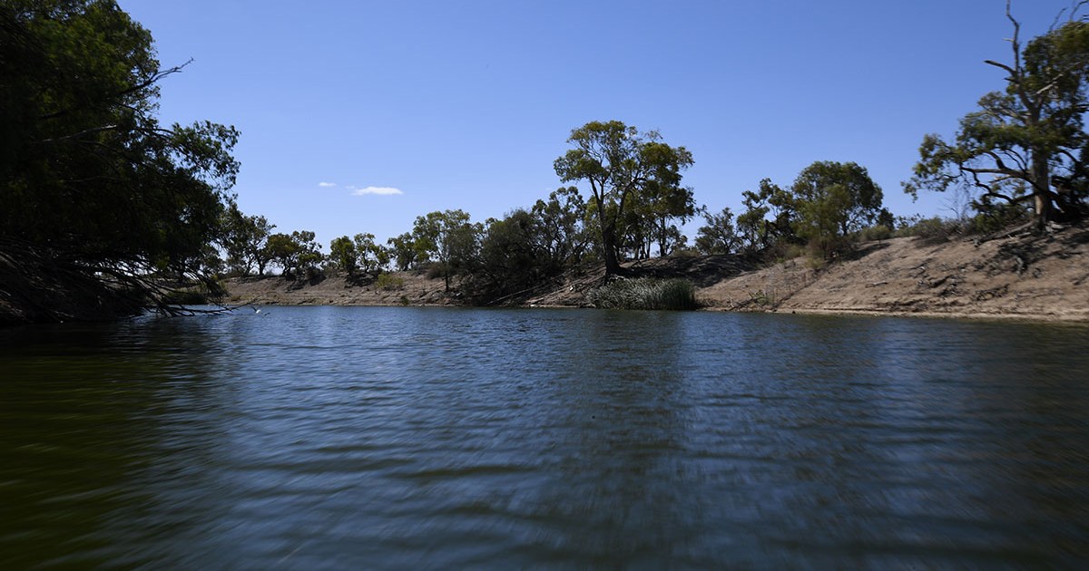 Menindee evacuated as flood nears record high