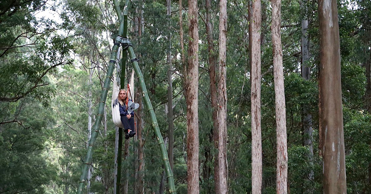 Two arrests made at logging protest in NSW forest | The New Daily