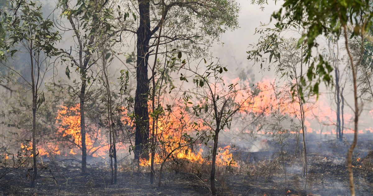 Bushfire hits homes and buildings in Port Lincoln