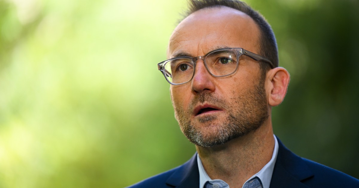Former Greens leader lands post-politics job