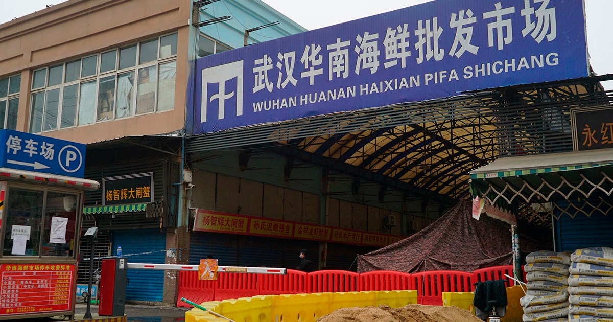 Chinese COVID data from Huanan market provides clues to origins