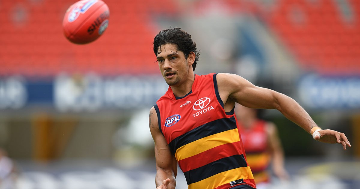 Adelaide’s Shane McAdam receives three-game ban for high bump