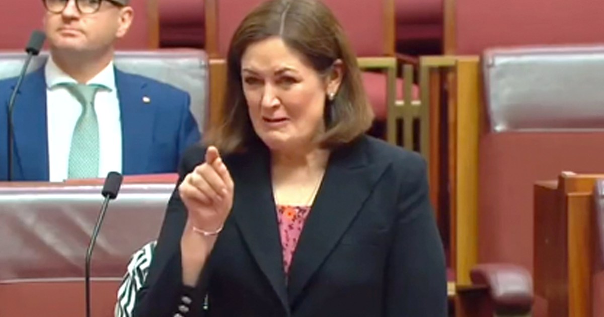 Emotions run high during Nazi symbol ban debate