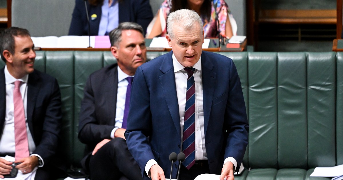 Government appoints five union figures | The New Daily