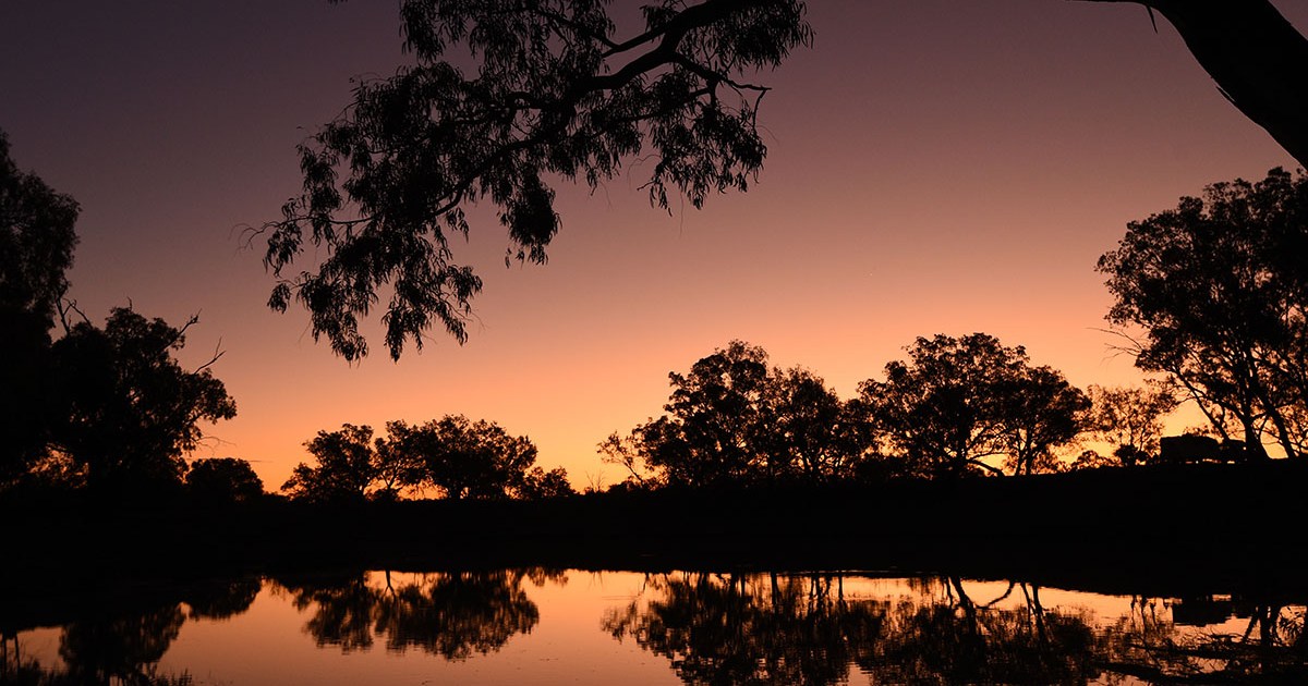 Poem weaves outback woman’s struggle into winning words