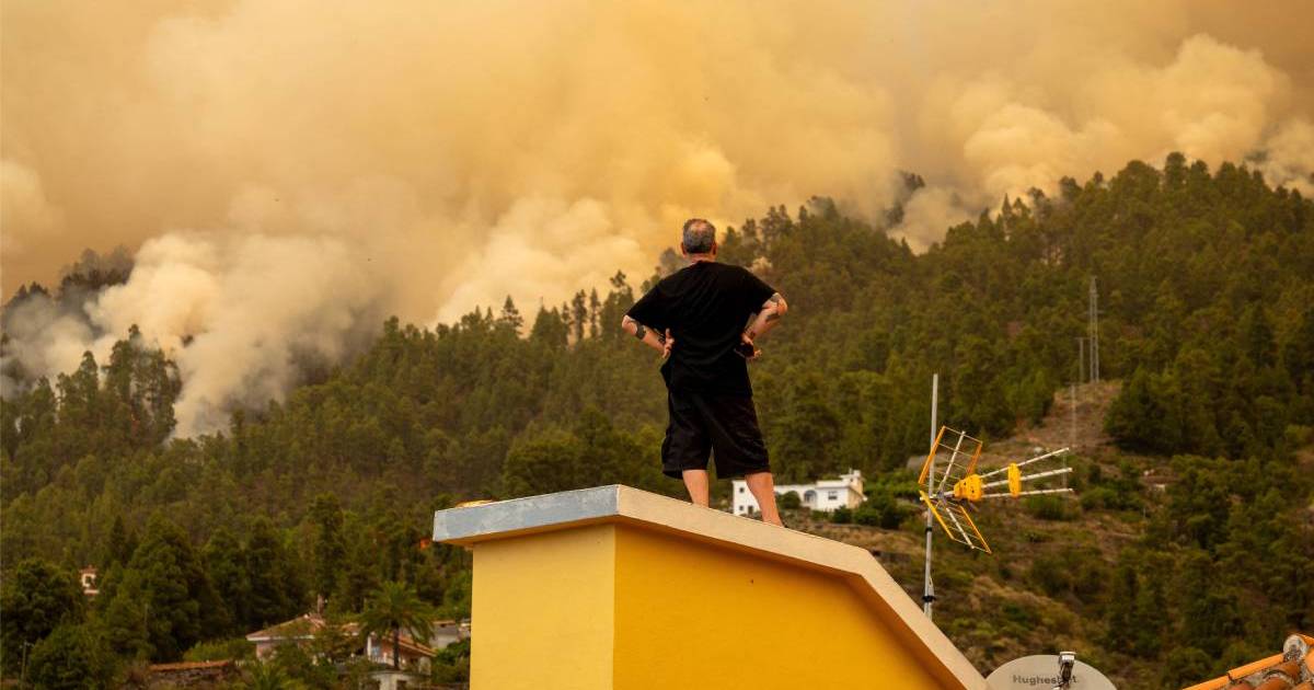 Wildfires in Spain's La Palma island forces evacuations