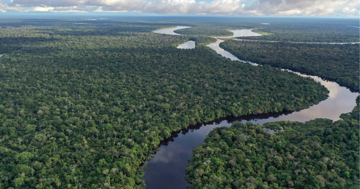 Is the Amazon or the Nile the longest river in the world?