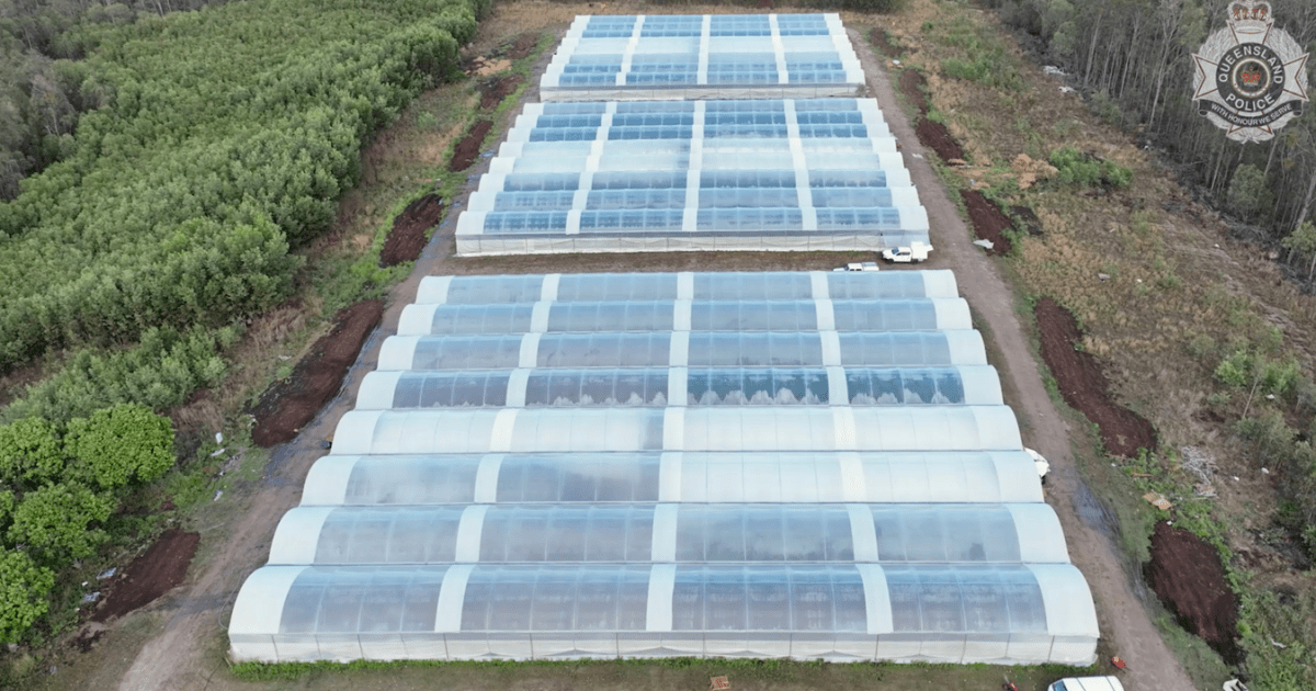 Student-visa holders were running $60m Qld pot farm: Police