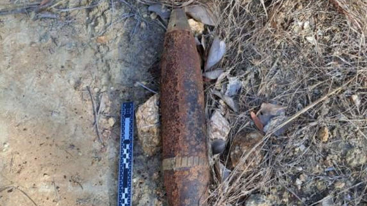 WWII bombs found in state forest in routine patrol