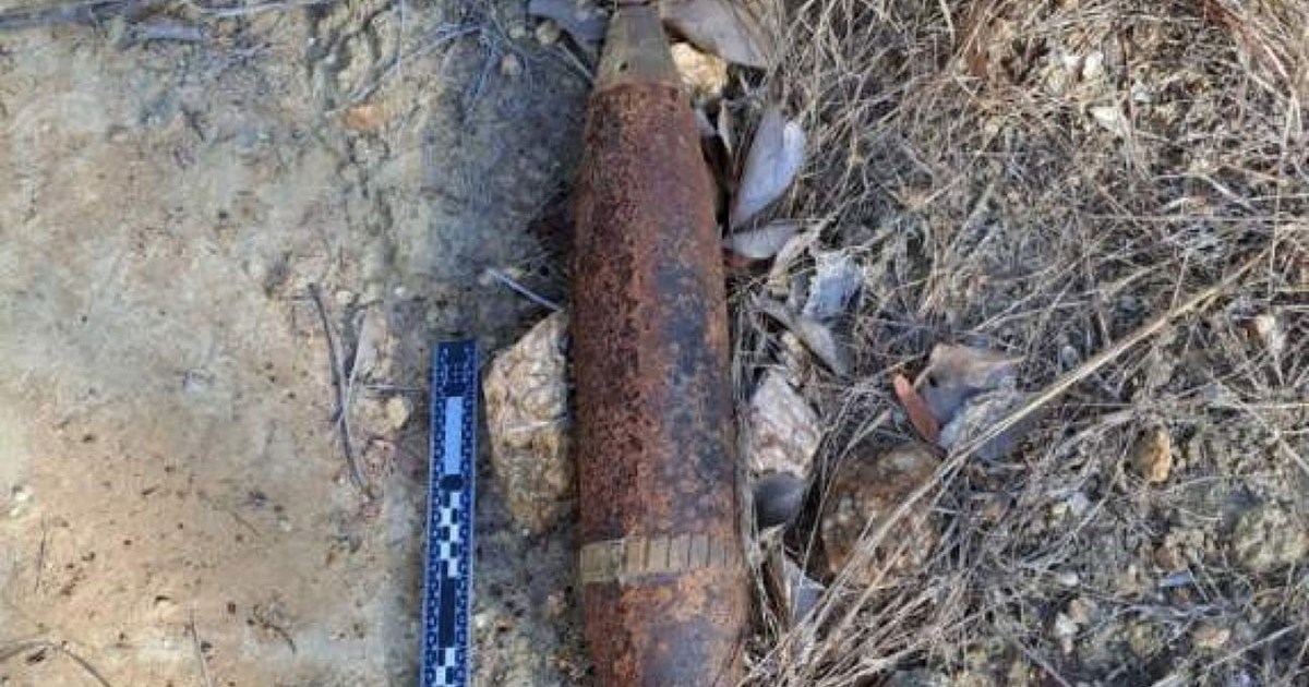 WWII bombs found in state forest in routine patrol