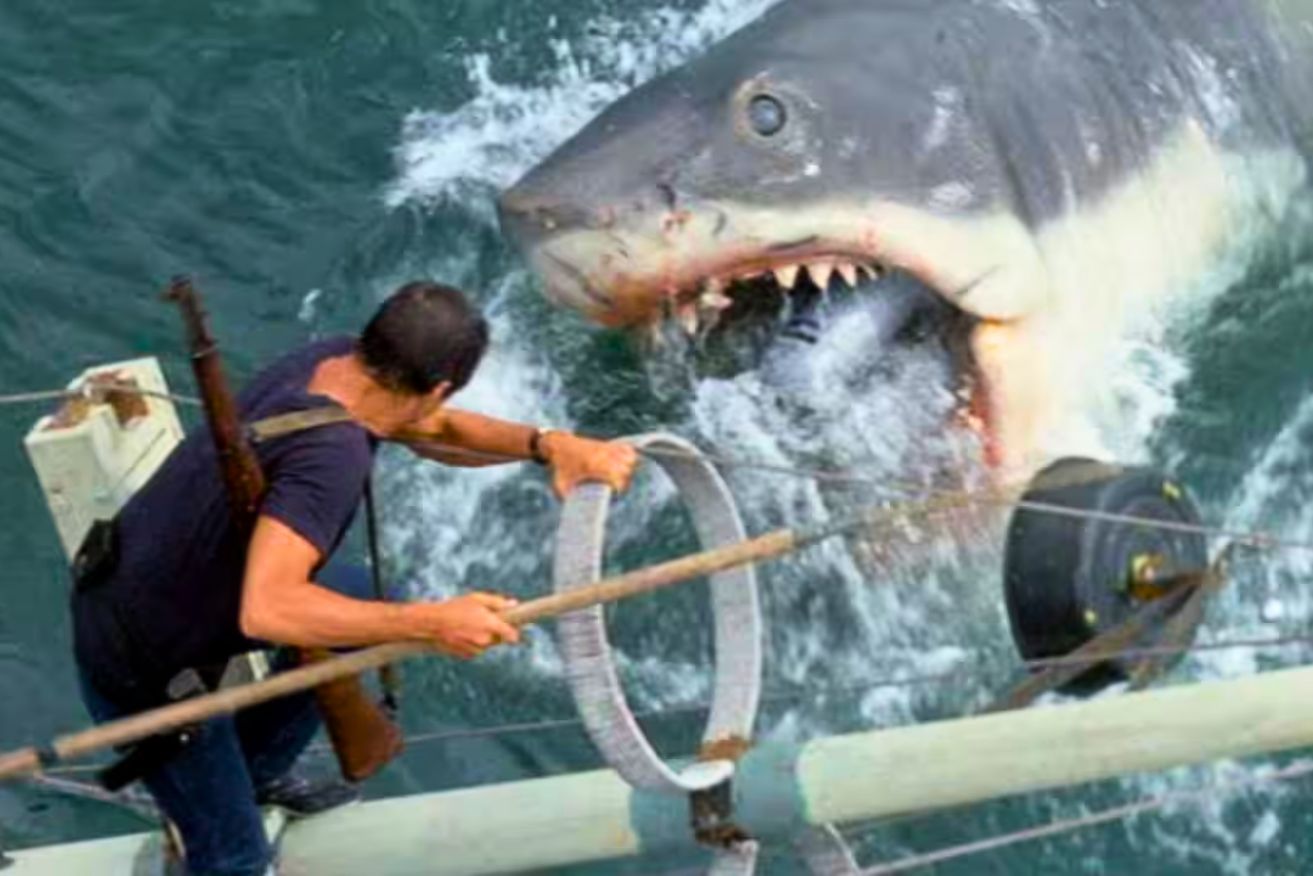 How Spielberg took bite out of characters as Jaws turns 50