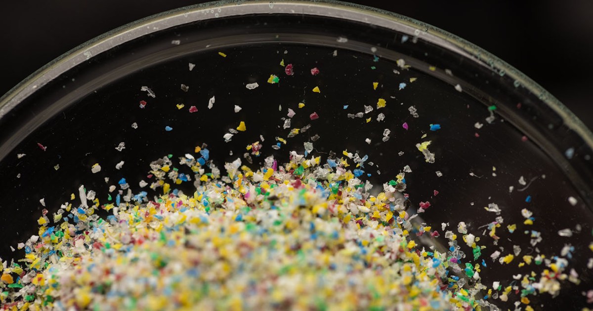 Australian farms polluted with microplastic from sewage sludge