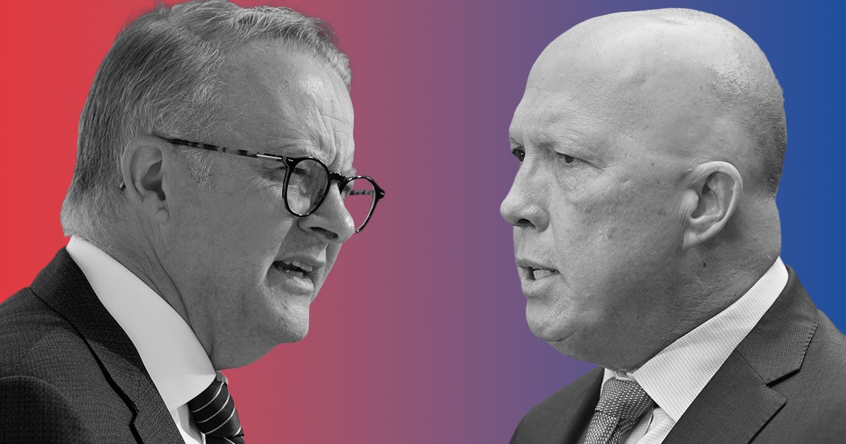 What's in a poll? How the Albanese government fares with voters