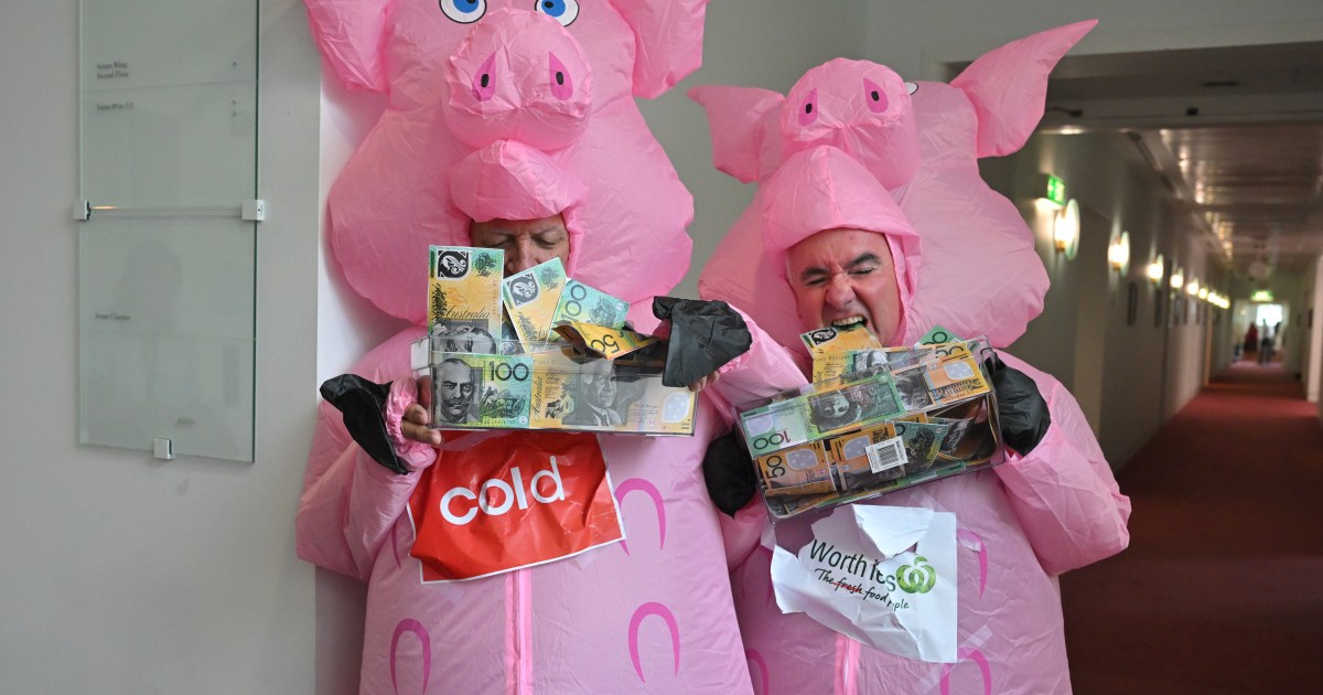 Piggy politicians squeal for end to greedy grocers