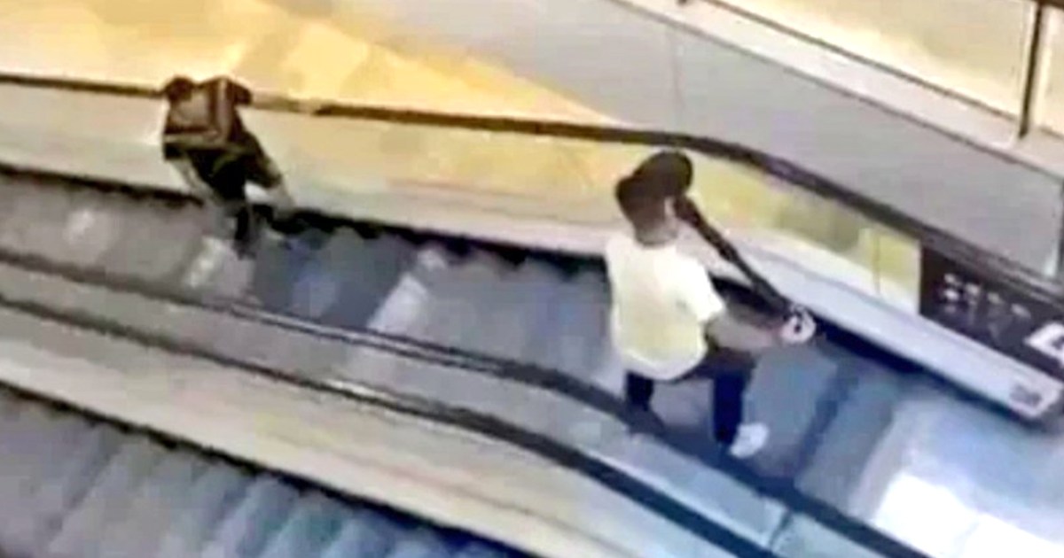 Hero Bondi Junction 'bollard man' offered citizenship