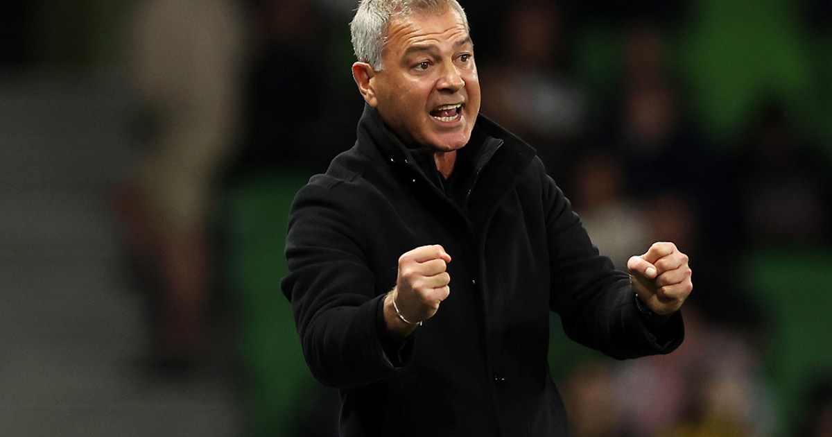 Marko Rudan quits as Western Sydney Wanderers ALM coach