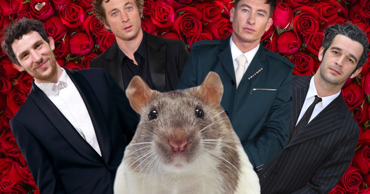 Hot Rodent Men are apparently what women want